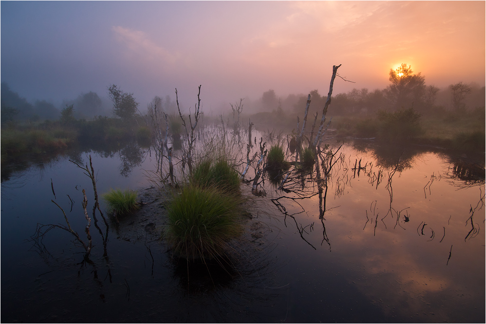 Mythos Moor (Forum für Naturfotografen)