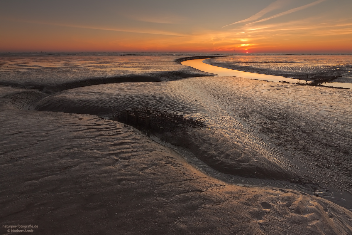 Ebbe im Watt (Forum für Naturfotografen)