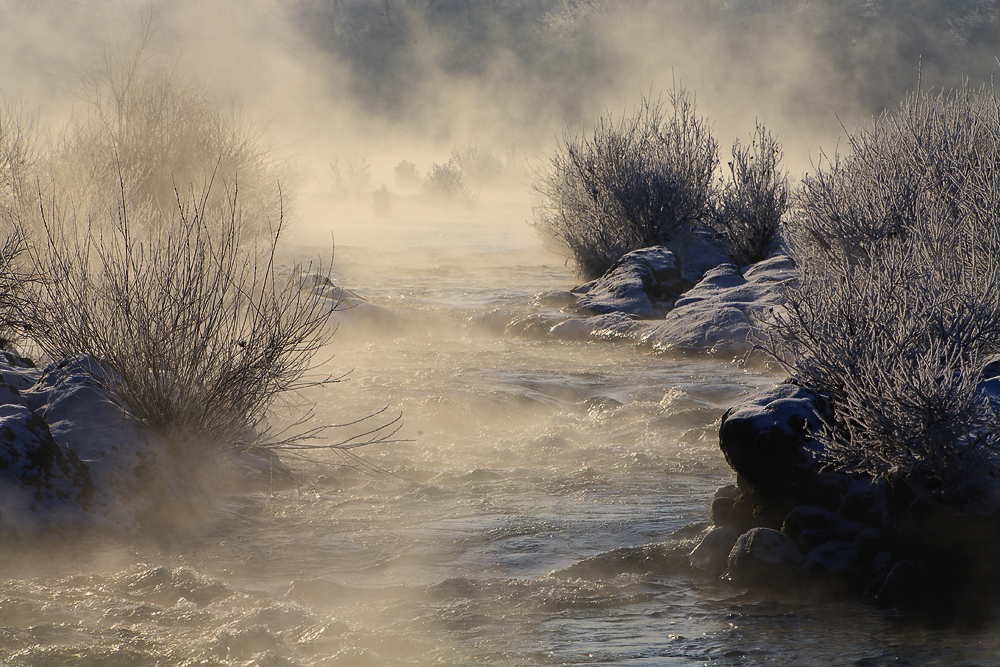Wasserdampf (Forum für Naturfotografen)