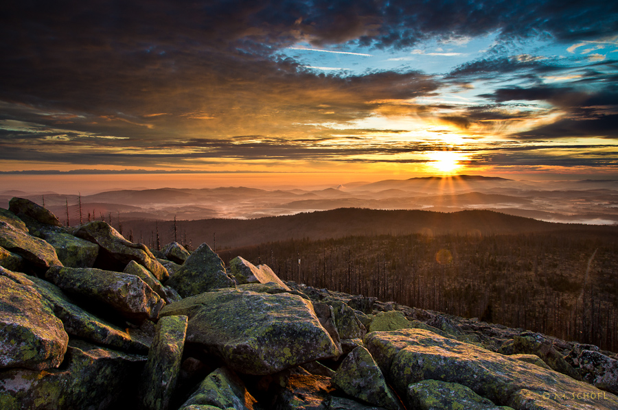 Lusen (Forum für Naturfotografen)