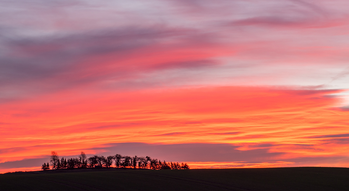 Morgenröte (Forum für Naturfotografen)