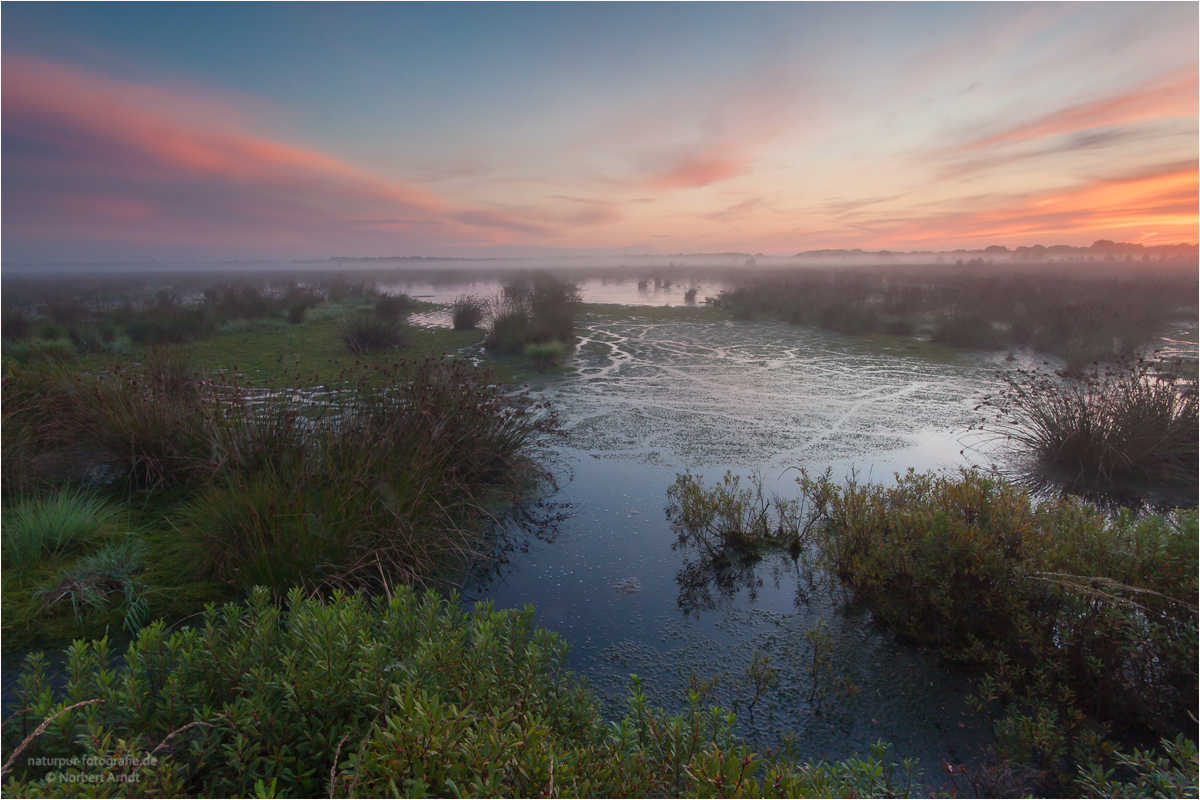 Langweilig und regnerisch (Forum für Naturfotografen)