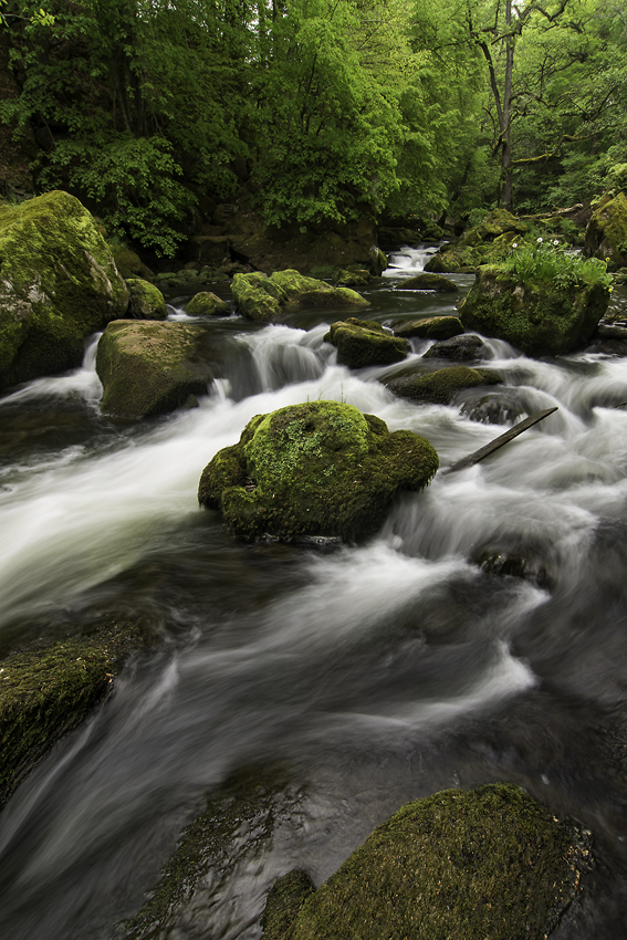 Irreler Wasserfälle (Forum für Naturfotografen)