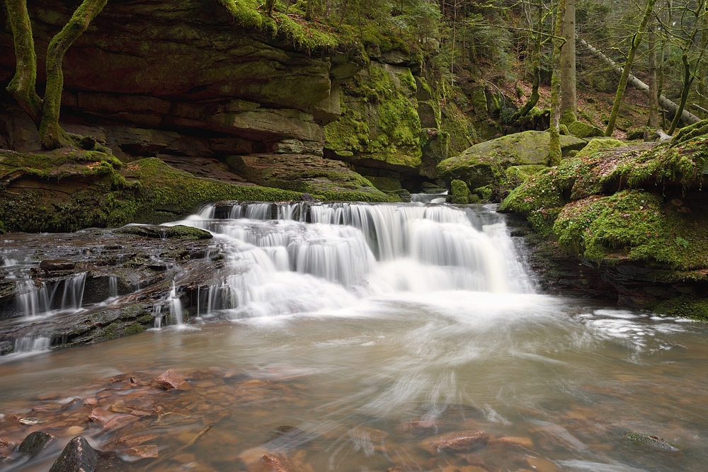 Monbachtal (Forum für Naturfotografen)