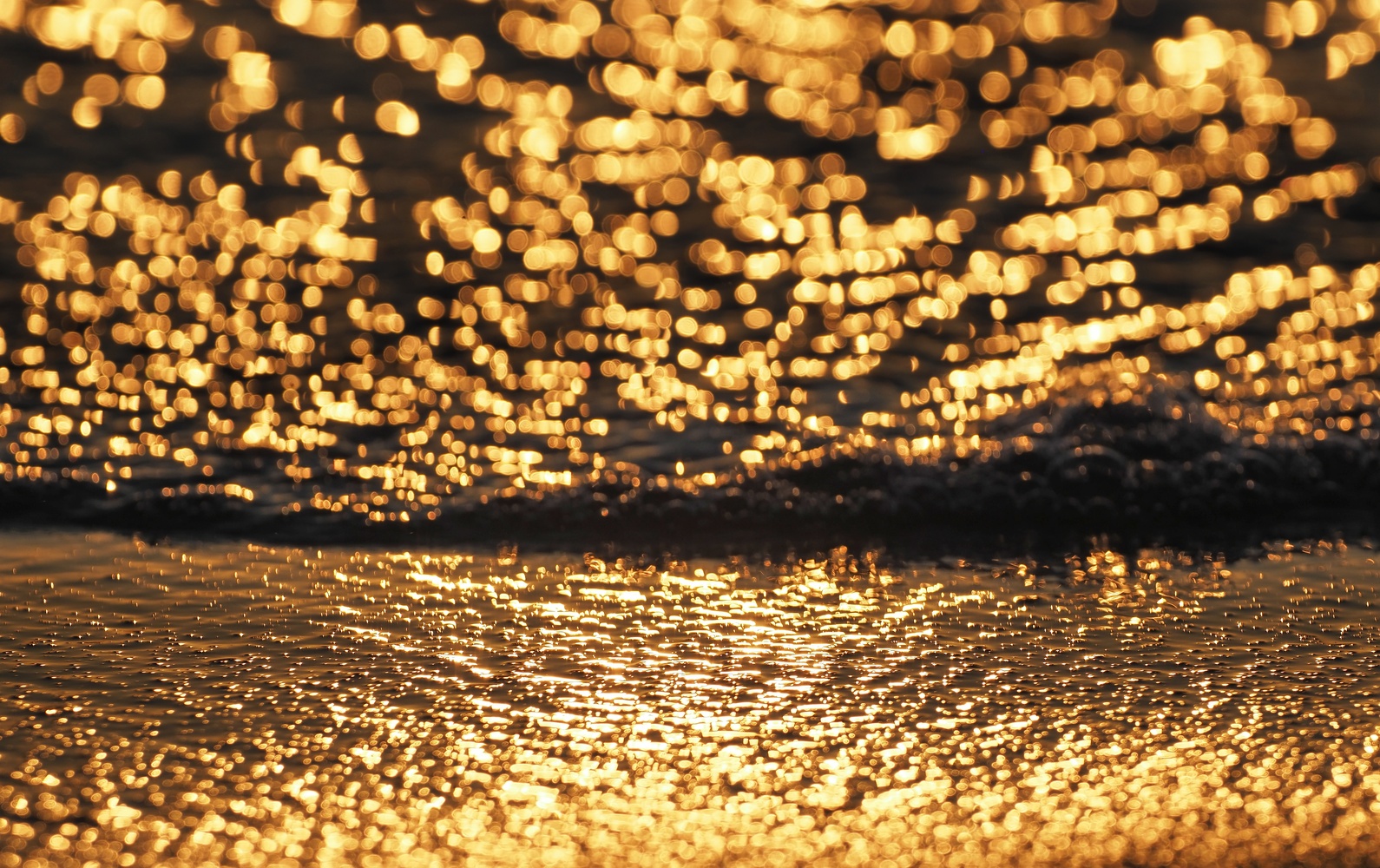 Abends an der Ostsee (Forum für Naturfotografen)