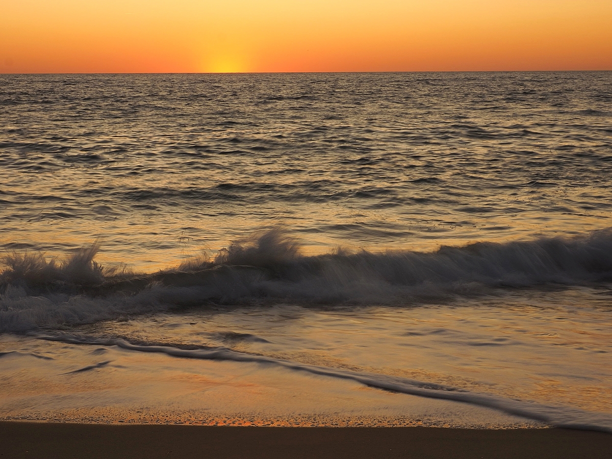 -Atlantik- (Forum für Naturfotografen)
