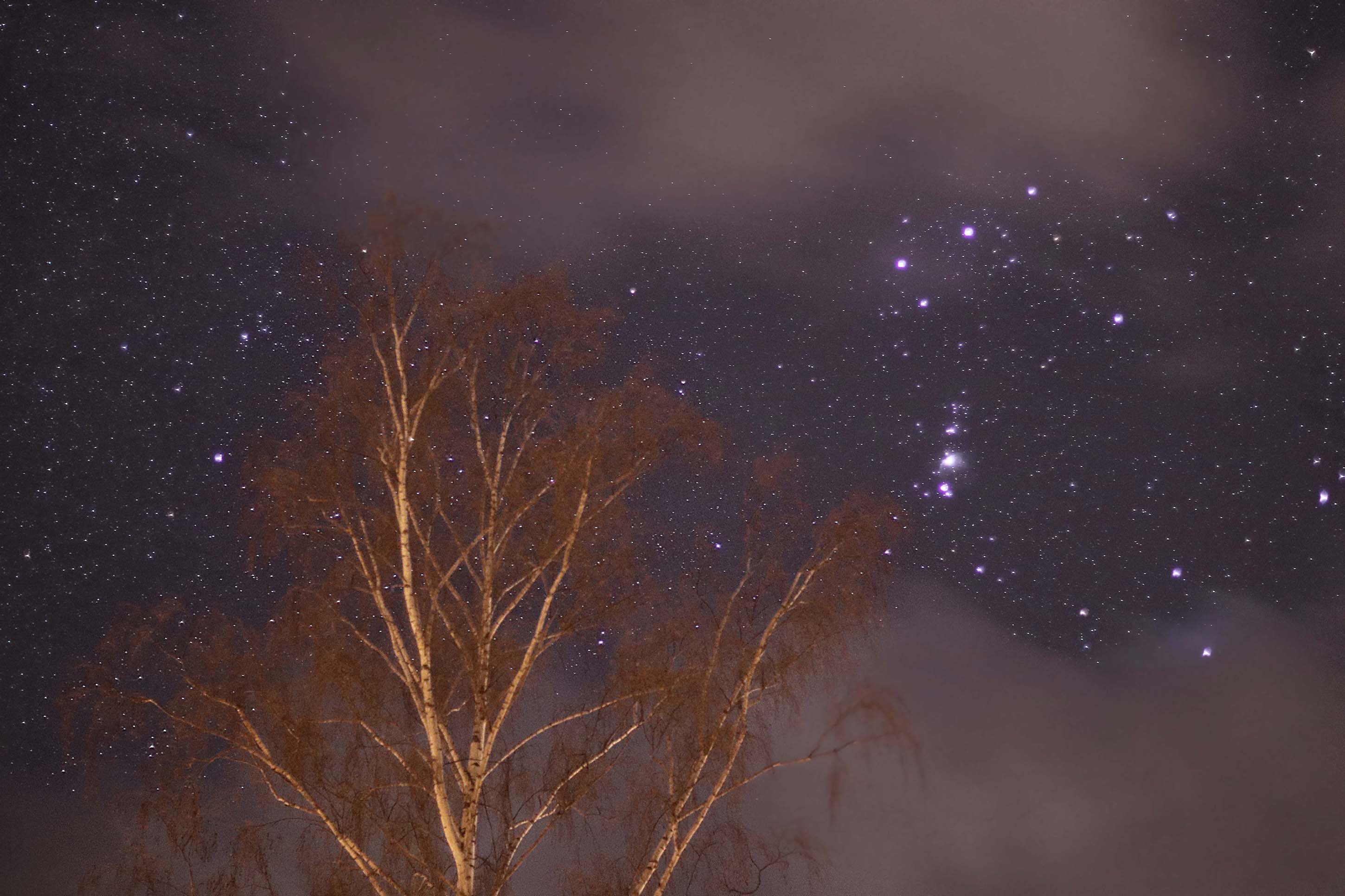 orion (Forum für Naturfotografen)