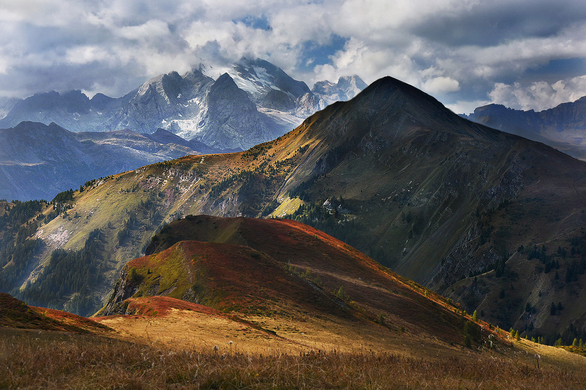 Der Herbst ..., (Forum für Naturfotografen)