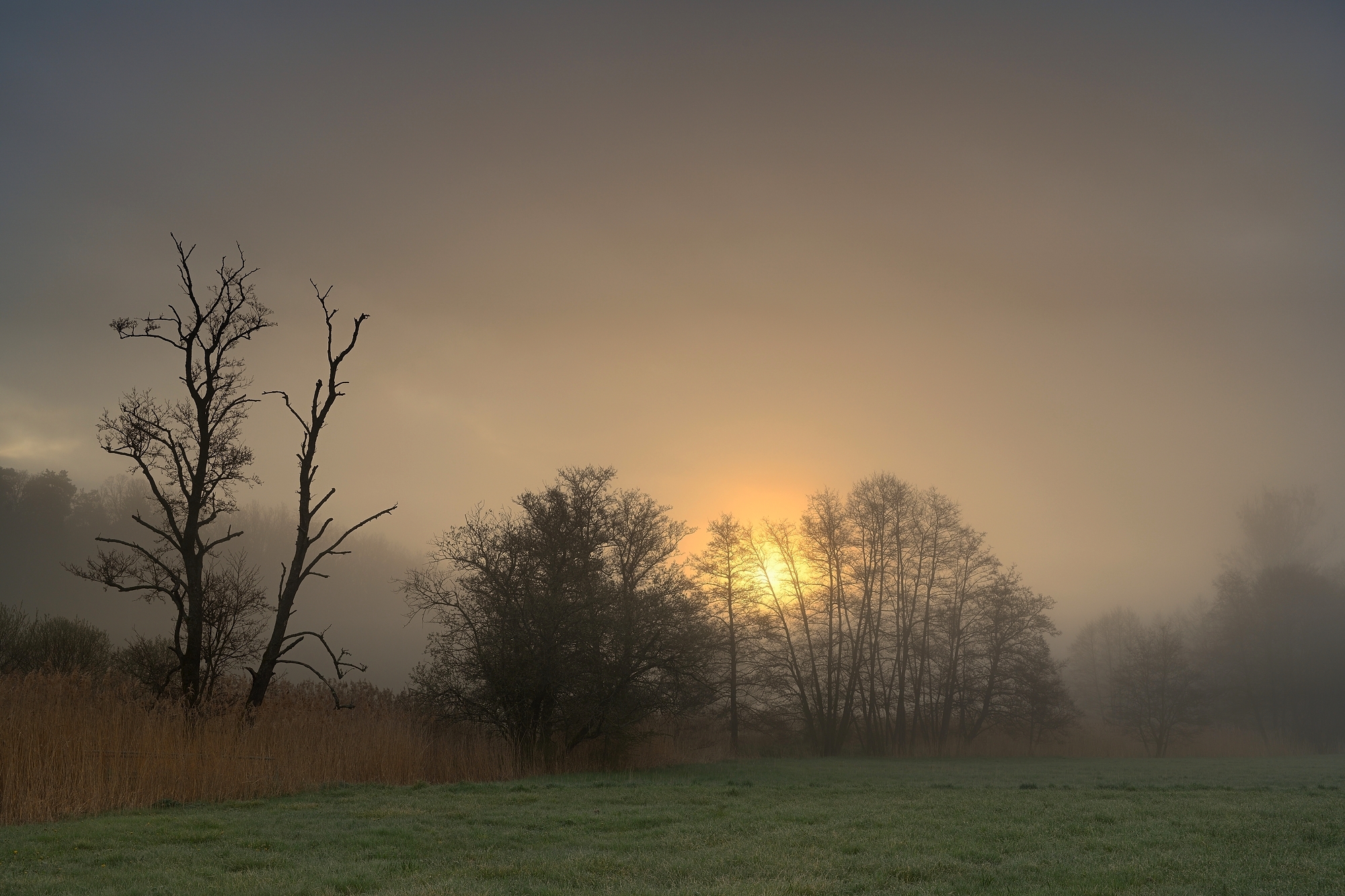 Sonnenaufgang (Forum für Naturfotografen)