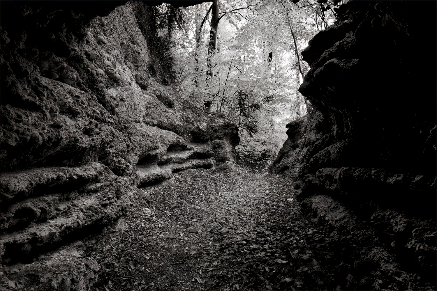 leider (Forum für Naturfotografen)